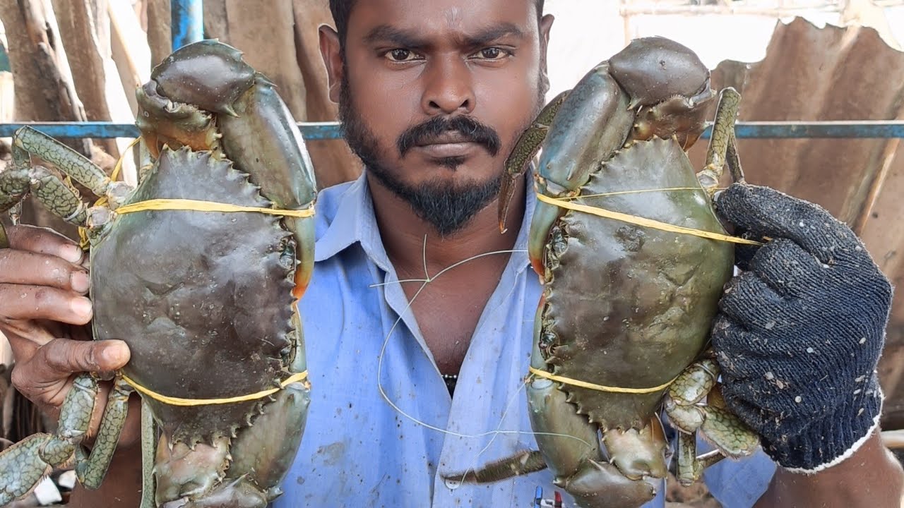 11 January 2024 - YouTube