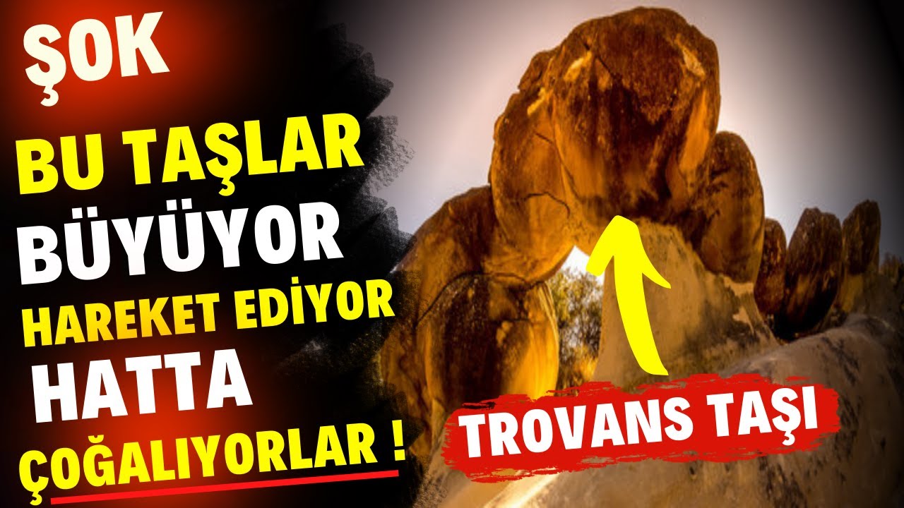 Şok Bu Taşlar Büyüyor ve Hatta Çoğalıyor | Mucizevi Sırlara sahip ...