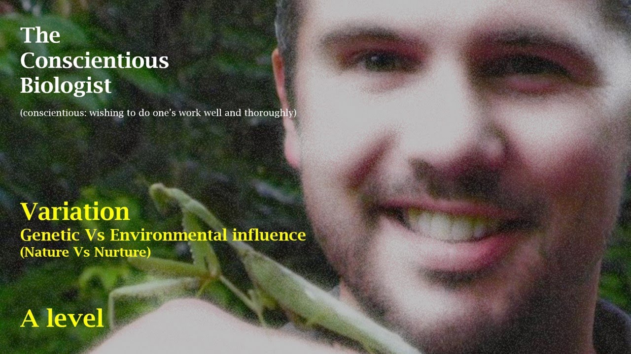 Variation: Genetic Vs Environmental Influence - YouTube