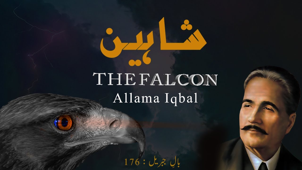 The Falcon | Shaheen | Allama Iqbal Official | Iqbaliyat | Bal-e-Jibril ...