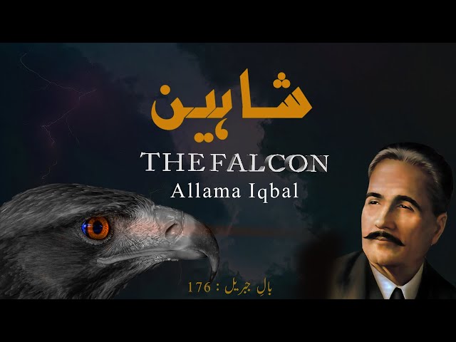 Allama Iqbal Shaheen A Tribute To Allama Iqbal| Rekhta
