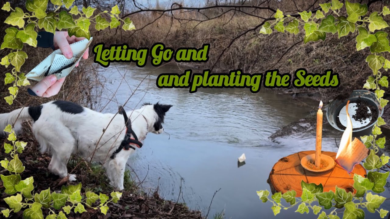 Letting Go and planting the Seeds for wishes and goals 🌱 new year ...