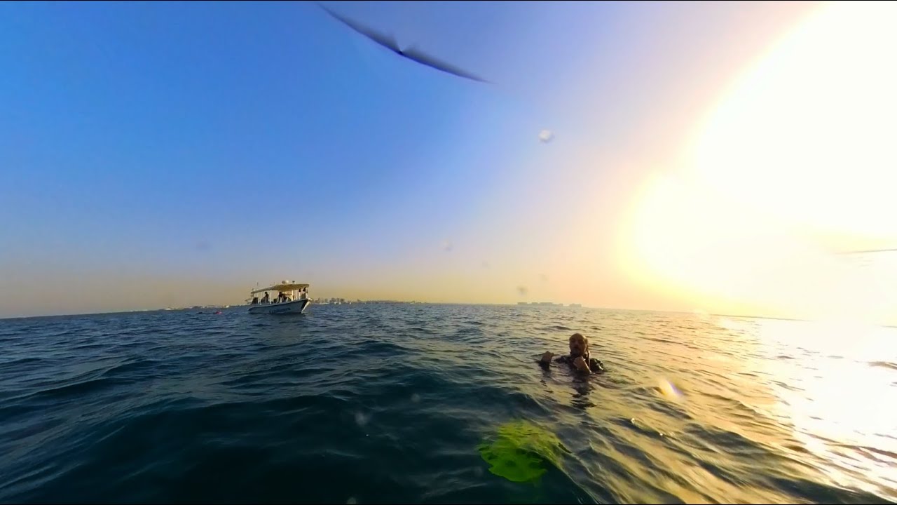 Discovery scuba dive with captain Essam in Artificial Reef in Bahrain ...