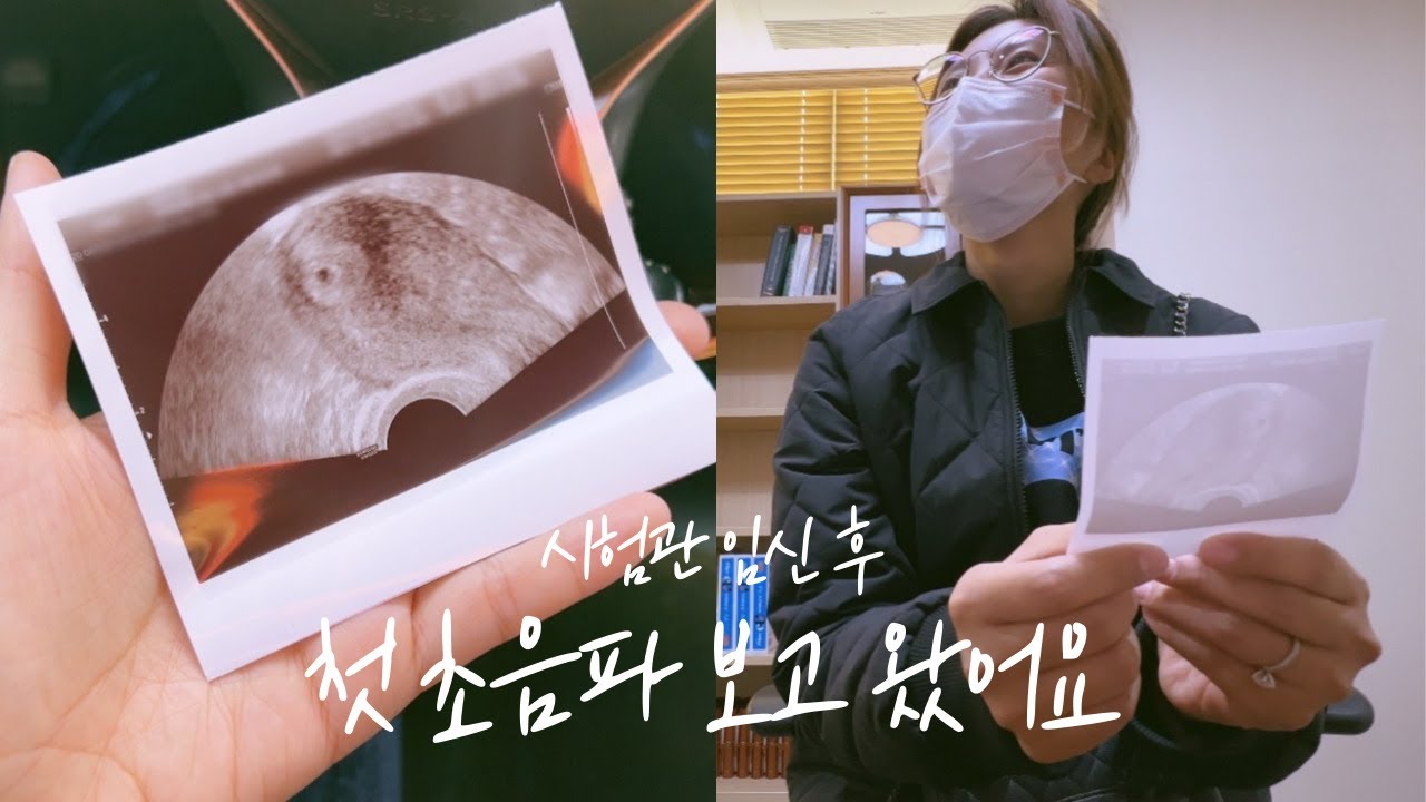 시험관 임신 후 첫 초음파 과연 아기집 몇개 2차 피검사 임밍아웃 서른한살 조기폐경 일상 브이로그
