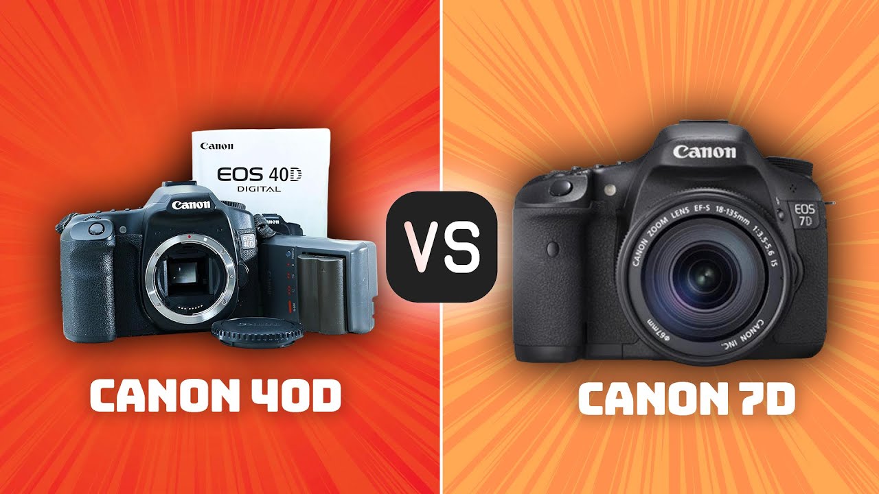 Canon 40D vs Canon 7D: Which Camera Is Better? (With Ratings & Sample ...