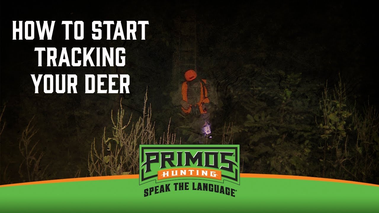 How to Start Tracking Your Deer - YouTube