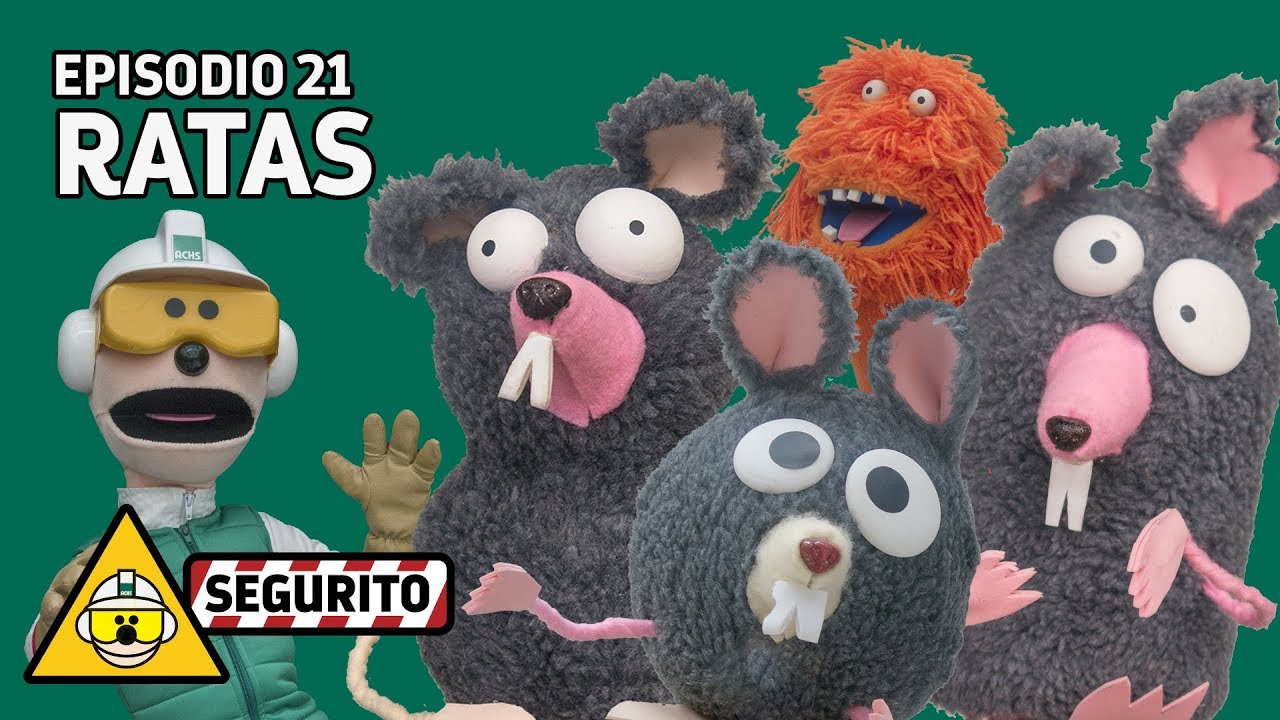 Segurito - Episodio 21 - Ratas - YouTube