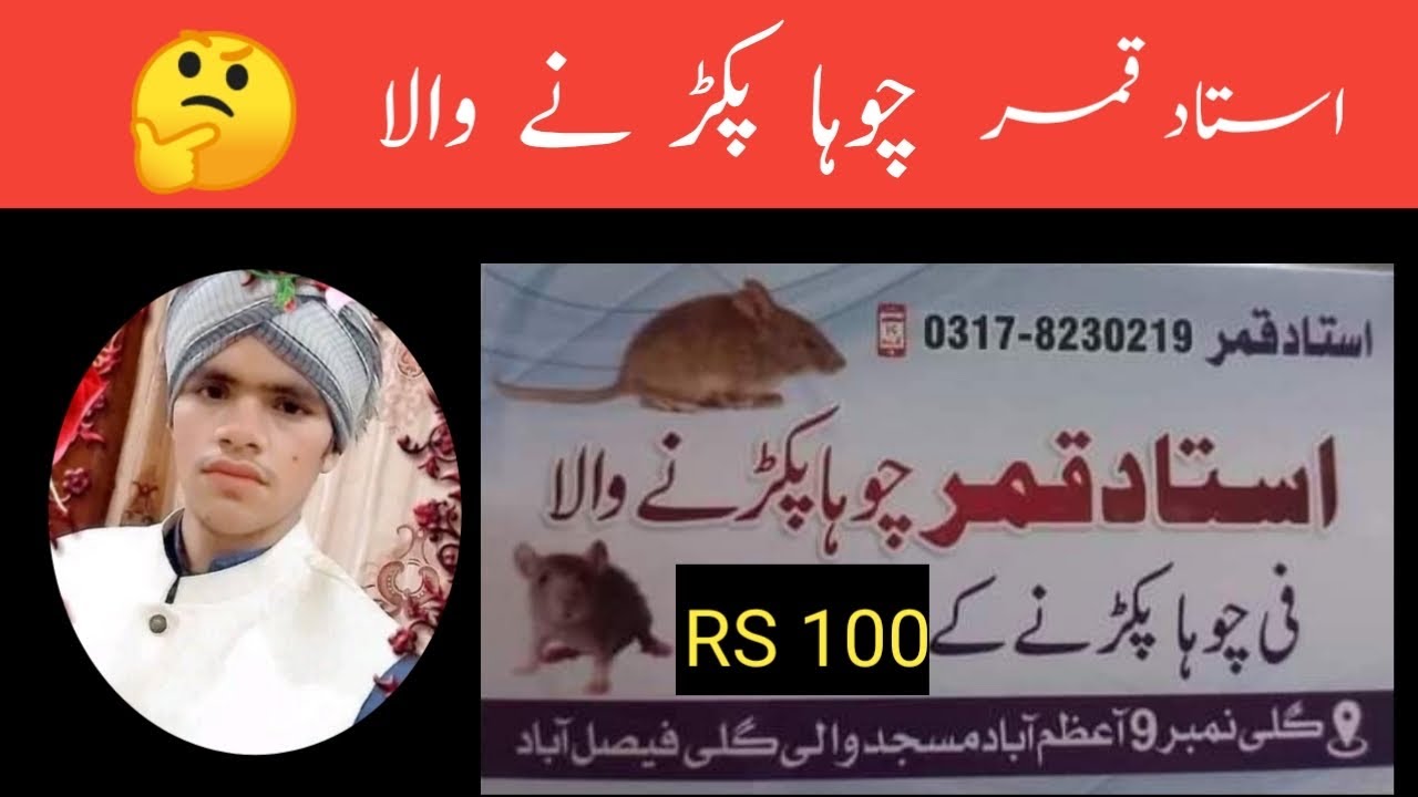 Ustad Qamar choha pakrny wala || sirf 100 rupay main@JaniMunda955 - YouTube