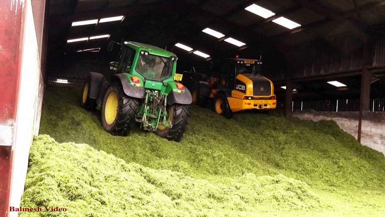 Silage on the Pit. JCB with Deere Rolling. - YouTube