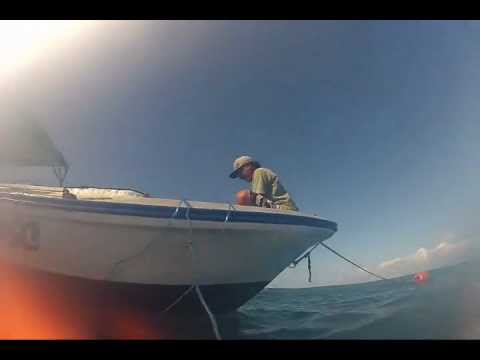 Spearfishing in Pohnpei - YouTube