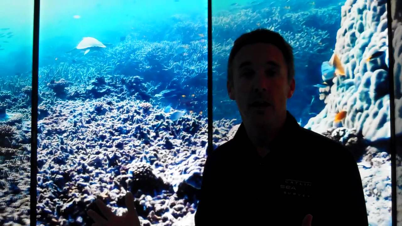 Interview with Richard Vevers in Google's Liquid Galaxy - YouTube