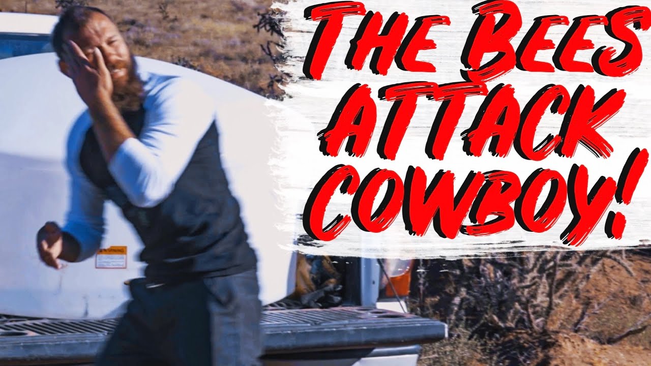 Cowboy gets attacked by the Bees at the BMF Ranch - YouTube