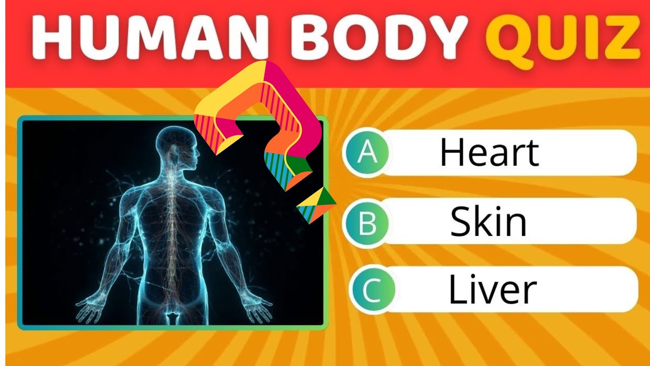 general knowledge questions about our Human Body Quiz! 🌟 - YouTube