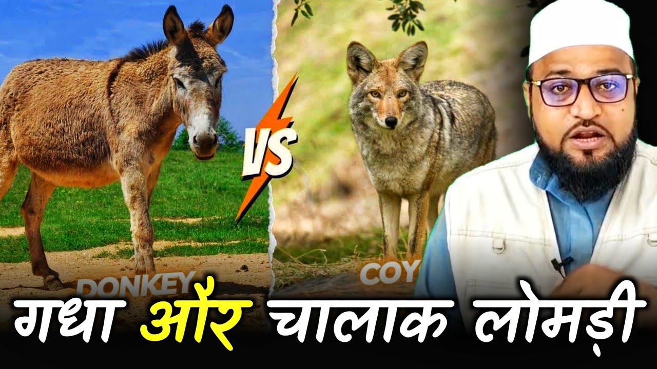 Gadha Aur Chalak Lomdi |Only Mufti| maulana abdur rashid miftahi ...