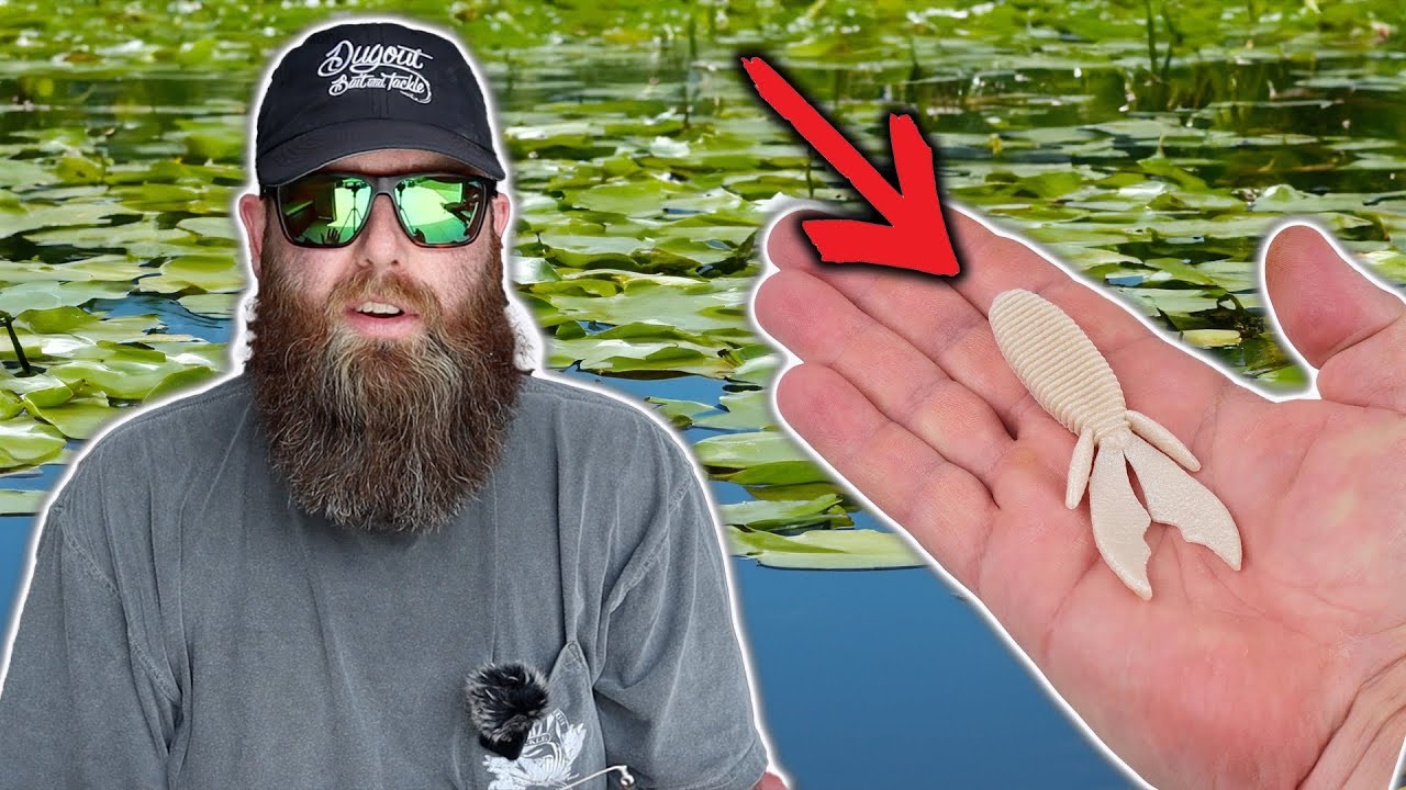 SUPER Easy Way to Catch HOT Weather Bass! - YouTube SUPER Easy Way to Catch HOT Weather Bass! - YouTube