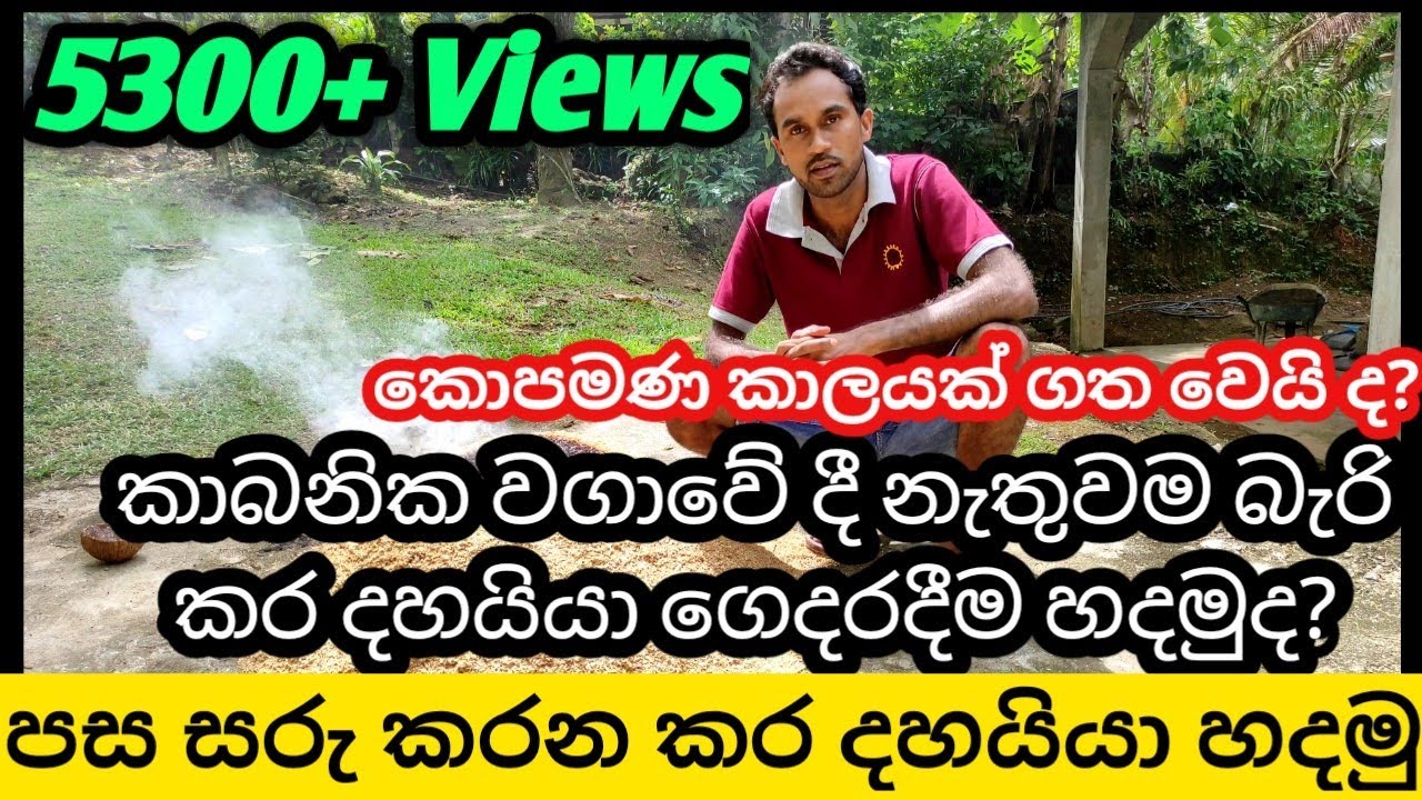 කර දහයියා ගෙදරදීම හදමු.kara dahaiya |කර දහයියා අඟුරු නිෂ්පාදනය සරලව ...