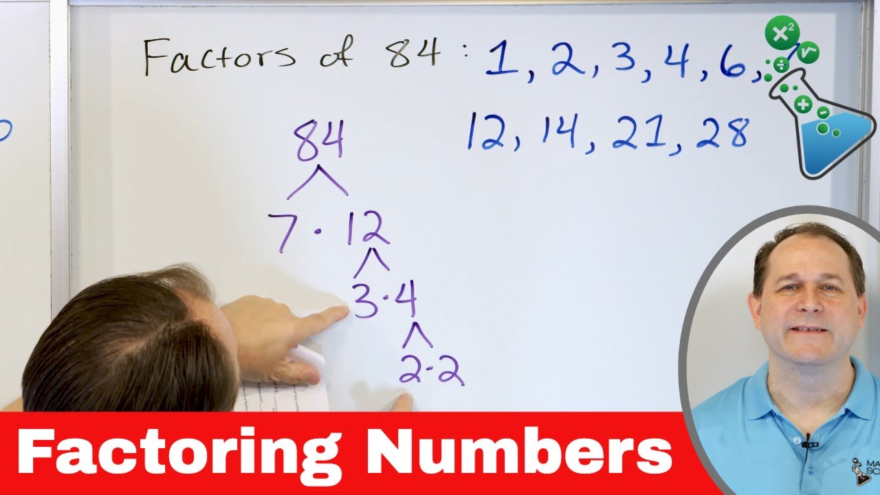 Factors of Prime and Composite Numbers - YouTube