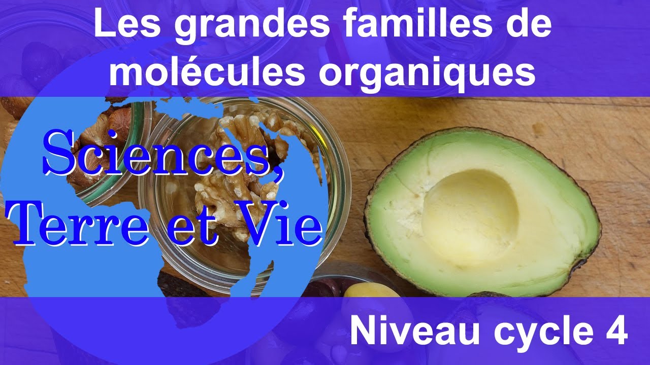 Les grandes familles de molécules organiques - YouTube