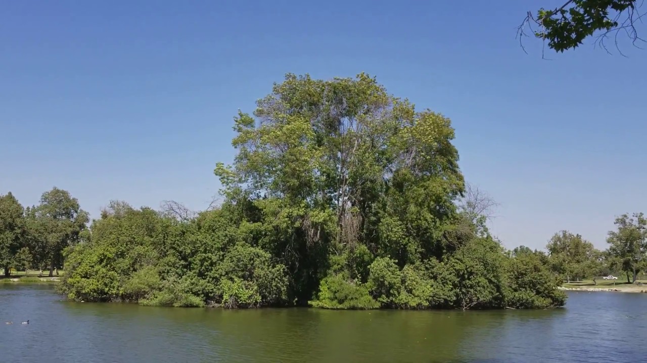 Whittier Narrows Legg Lake LA Recreation Area Fishing Nature Hiking ...