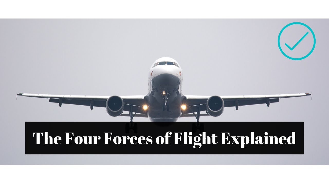 The 4 Forces of Flight (Aviation Tutorial) - YouTube