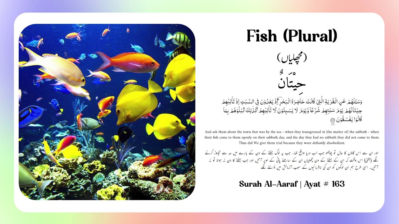 Every Fish, Insect & Reptile mentioned in Quran - YouTube