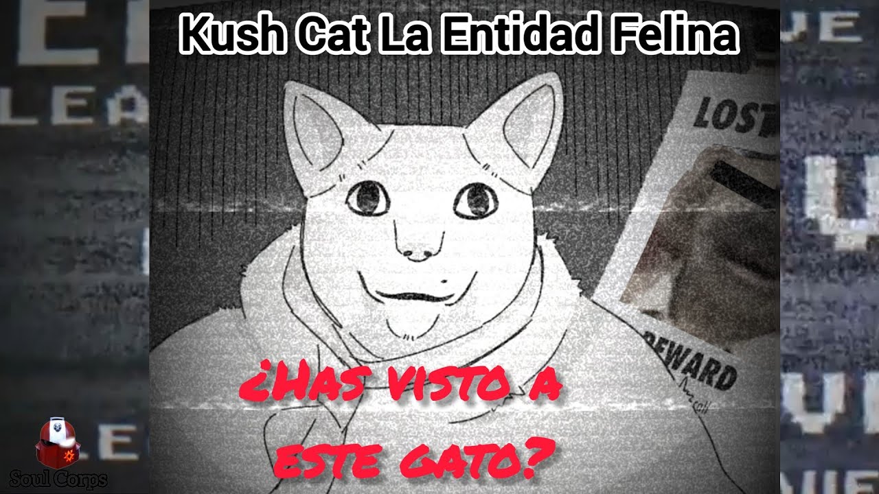 ¿HAS VISTO A ESTE GATO? | Kush Cat La Entidad Felina | Ft. @Dark_Garden ...