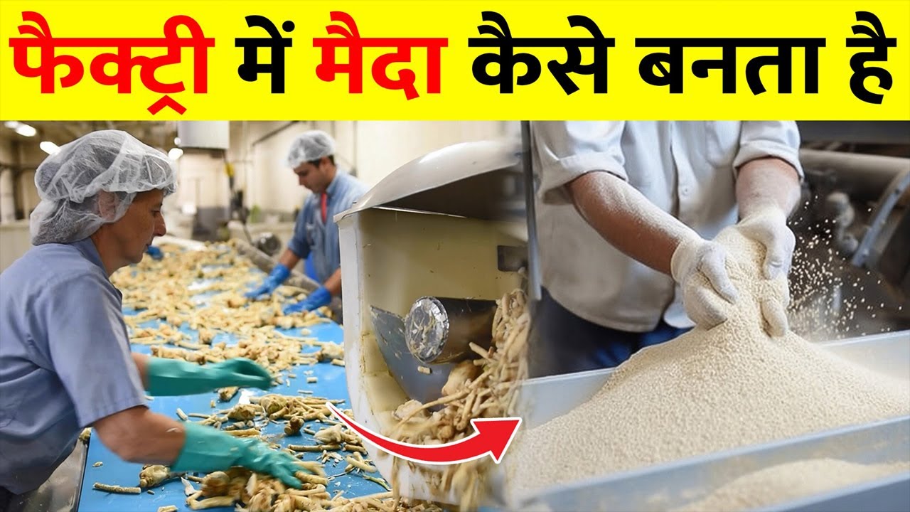 Maida kaise banta hai | See how these products are made in the factory ...