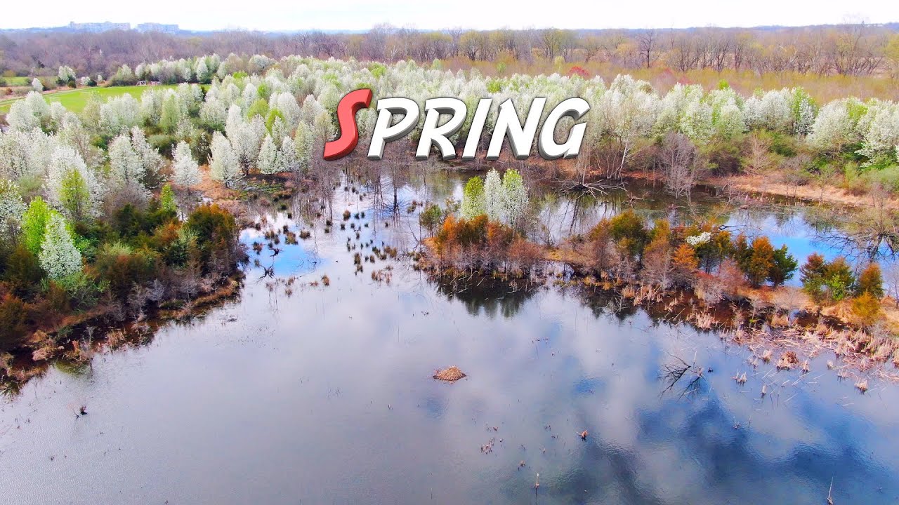 Relaxation Spring Aerial 🌳 One Hour 🕊 4K Drone Footage - YouTube