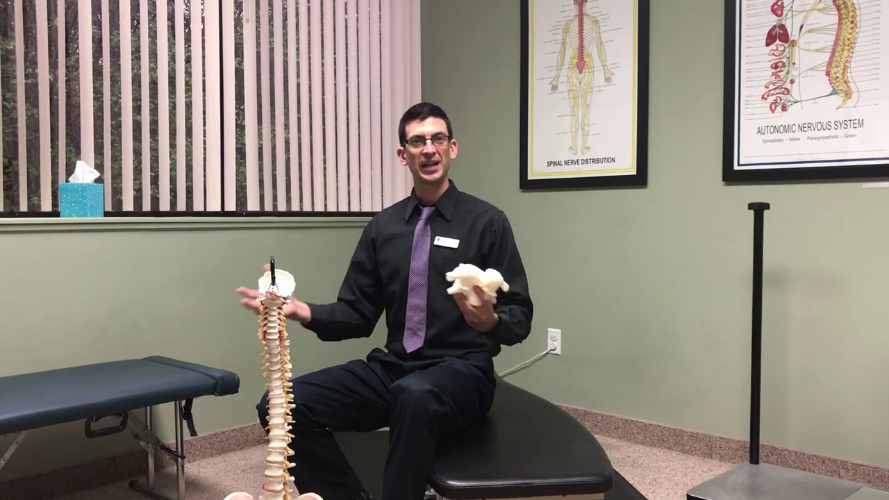 Troy MI Top Chiro- DIscusses the most IMPORTANT bone in your NECK ...