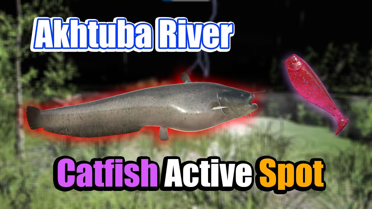 Catfish Hot Spot Akhtuba River - Russian Fishing 4 #354 - YouTube