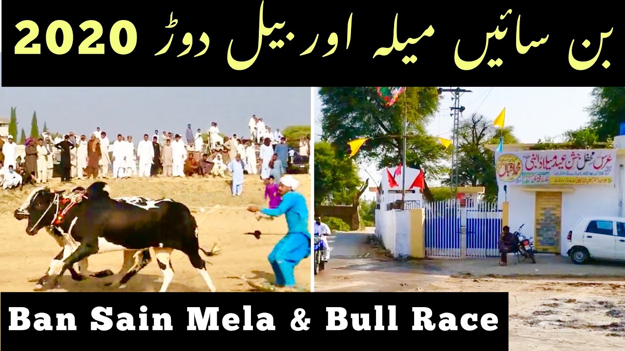 Ban Sain Mela 2020 And Dandan Ni Dor | Bull Race | Near Dadyal Azad ...