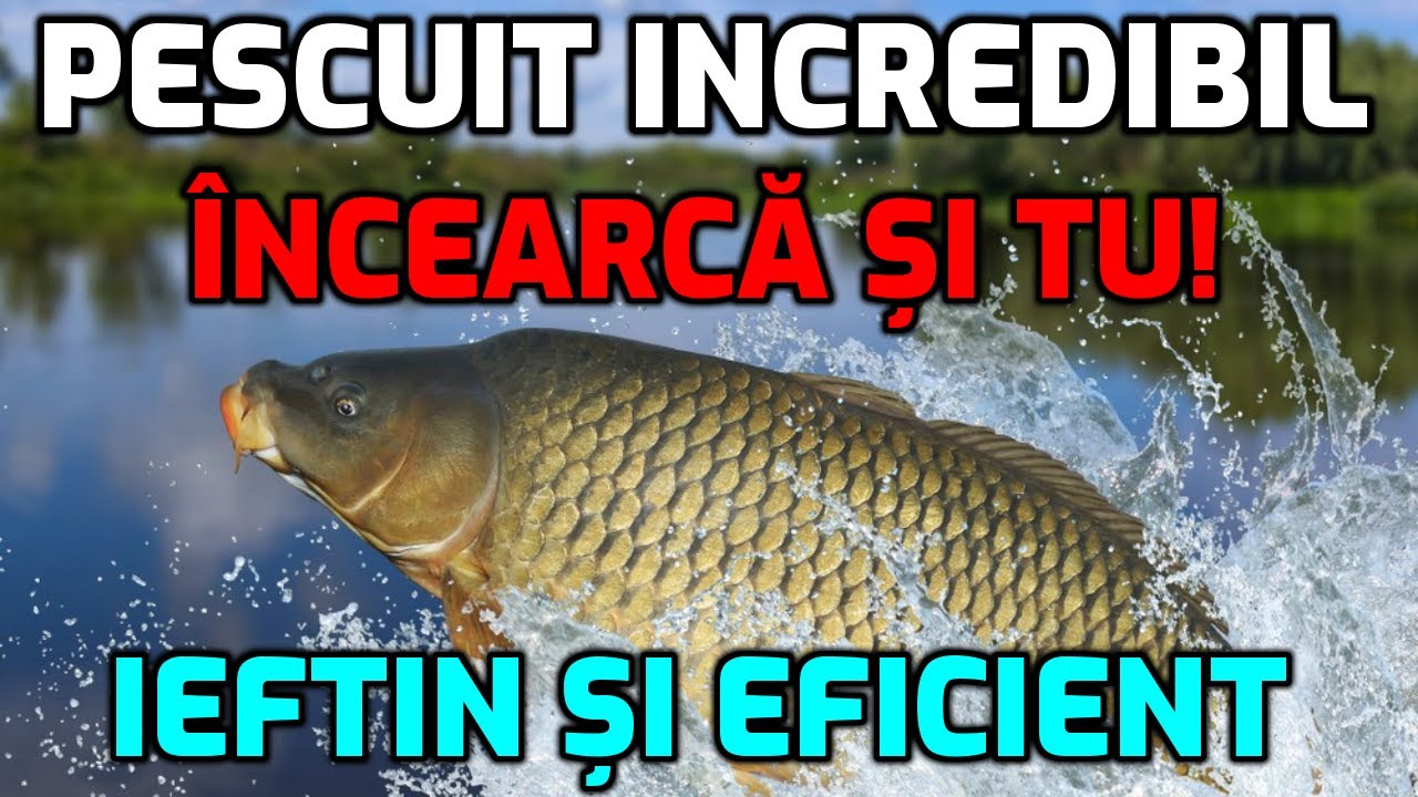 Pescuit incredibil la crap și caras cu o rețetă fantastică! Uite ...