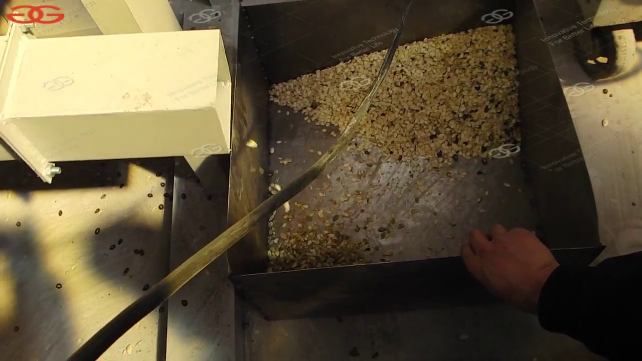 Pumpkin Seed Dehulling Machine|Pumpkin Seed Huller - YouTube