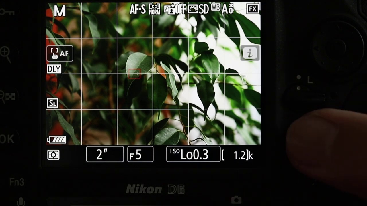 Nikon D6 LiveView