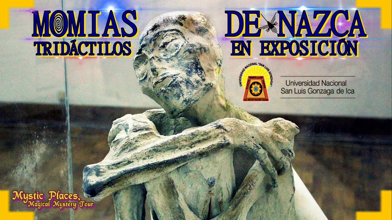 Momias Tridactilos de Nazca en Exposición, UNICA Exhibe Las Momias al ...