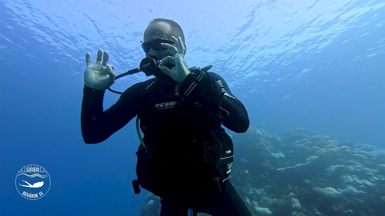 Zoli 100th Dive - YouTube
