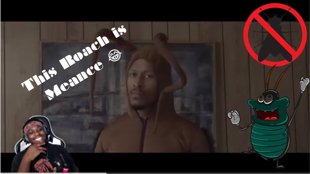 THE BEST RDC VIDEO EVER ⁠🪳 🪳 🪳@RDCworld1 - YouTube
