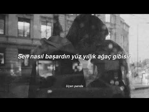 Şebnem Ferah - Eski ( sözleri ) / sen nasıl başardın yüz yıllık ağaç gibisin