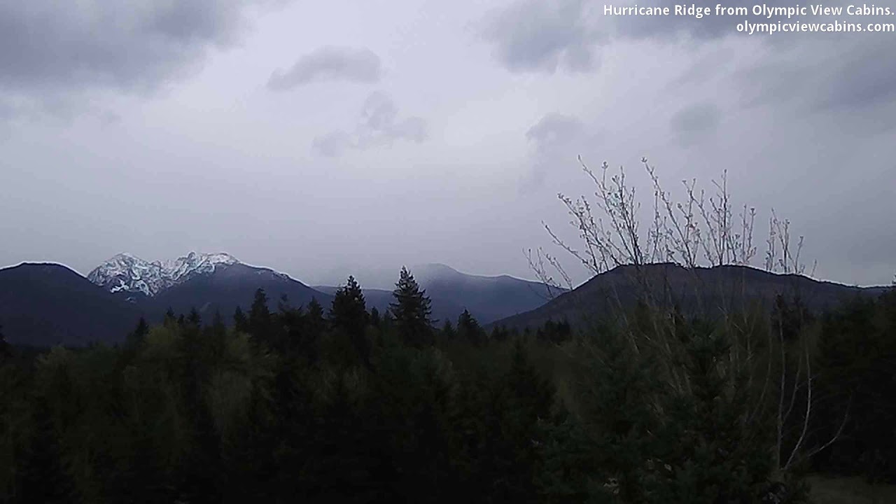 2020-04-26 Olympic View Cabins Hurricane Ridge Cam - YouTube