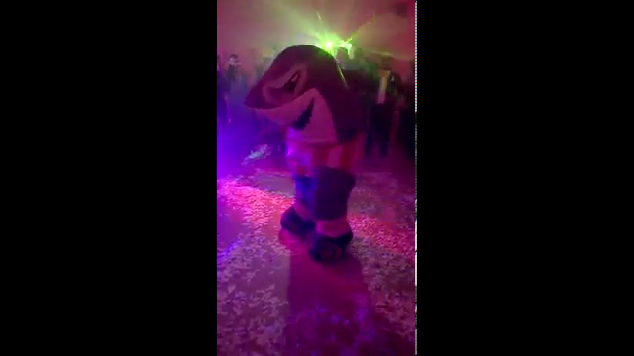 Tiburón Willy Mascota Junior Bailando Champeta - Carnaval 2016 ...
