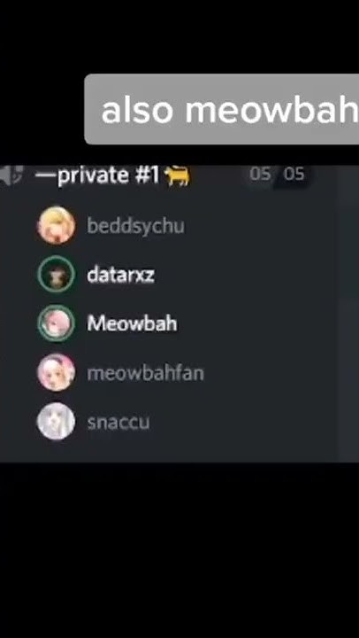 MeowBahh No Bitches? - YouTube