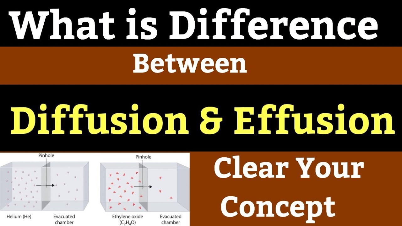Difference Between diffusion and effusion Fsc1 - YouTube