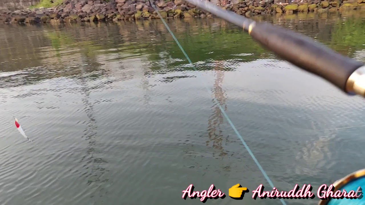 Fishing Mangrove jack # Tamboshi # Tamb - YouTube
