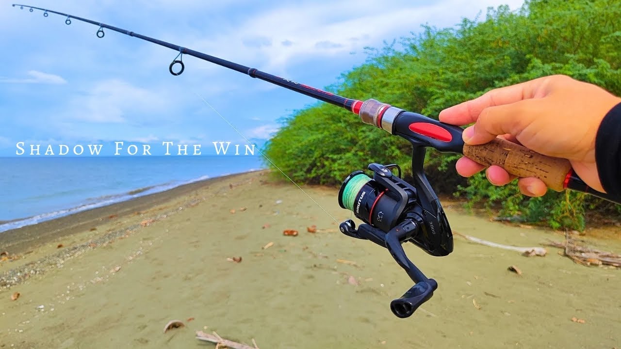 Shadow For The Win Spinning Rod After 8 Months | Shore Casting ...