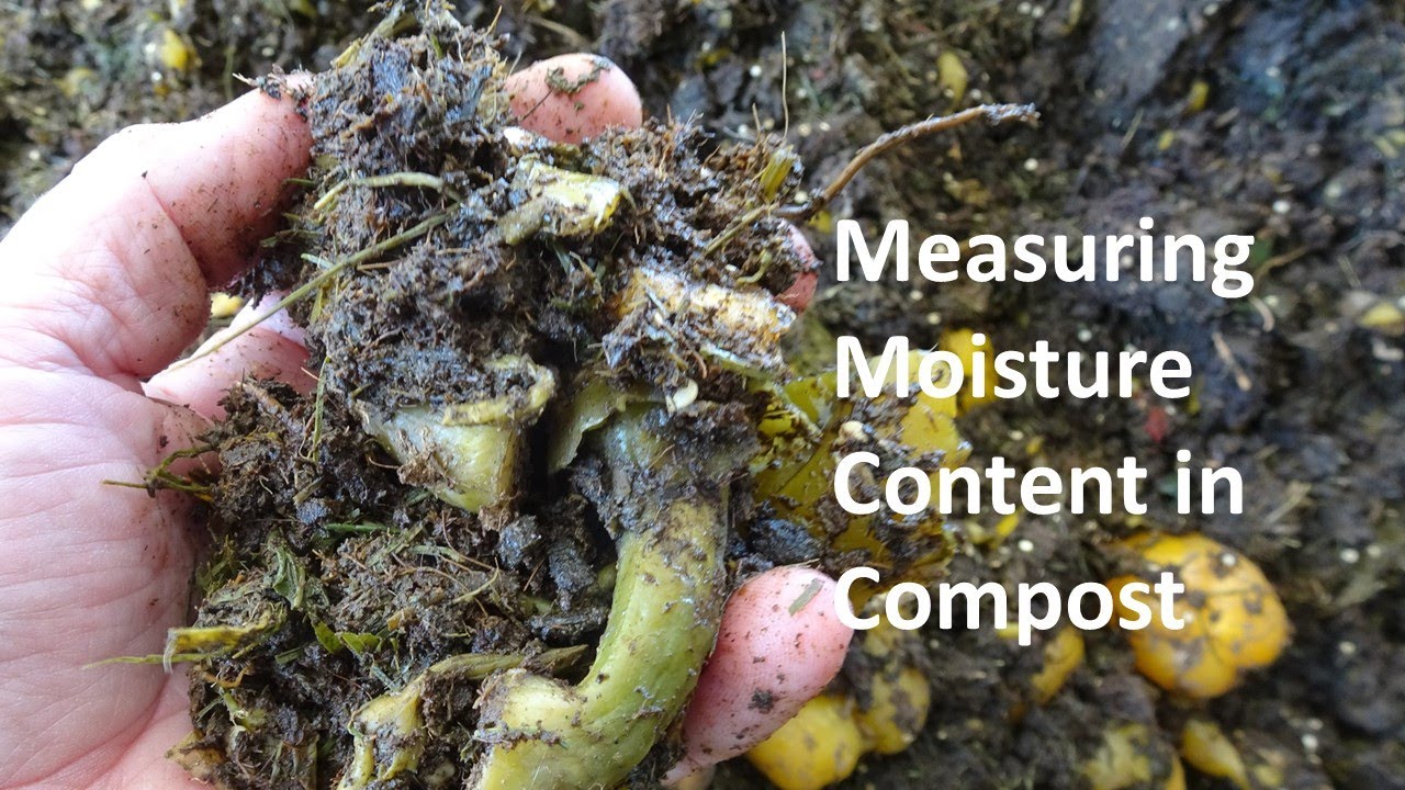 Measuring Moisture Content in Compost - YouTube