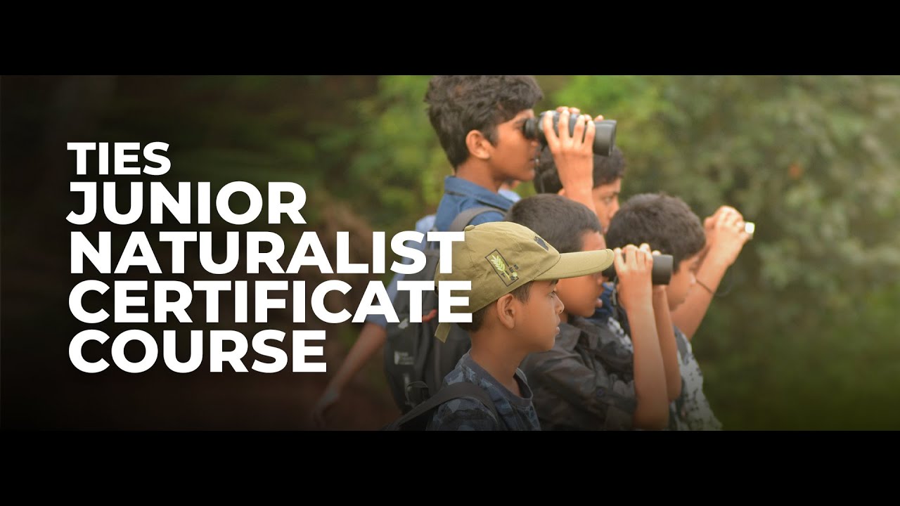 TIES Junior Naturalist Certificate Course 2024: Teaser - YouTube