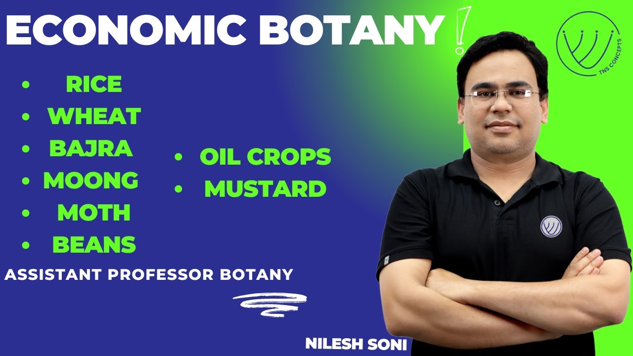 ECONOMIC BOTANY | IMPORTANT CROPS I RICE WHEAT BAJRA | MOONG MOTH ...