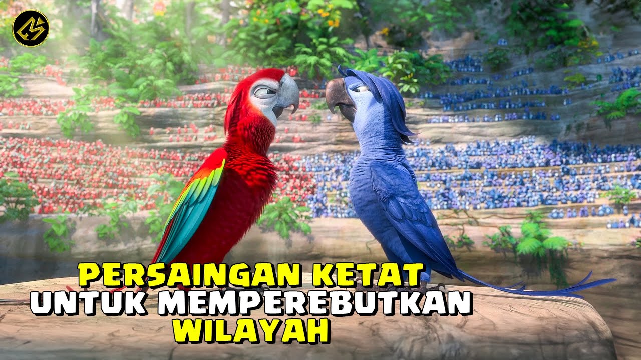 KALIAN PERNAH LIAT BURUNG TAWURAN? || Alur Cerita FIlm RIO 2 (2014 ...