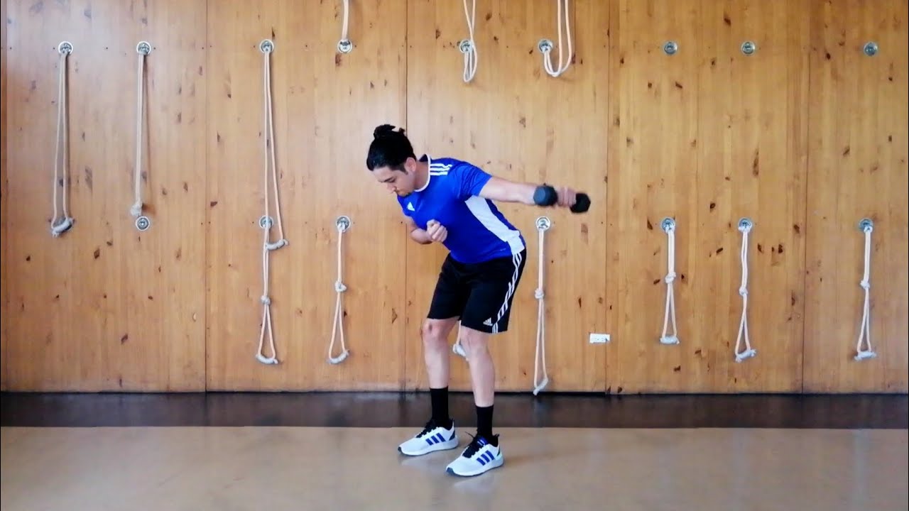 Fly posterior unilateral - YouTube