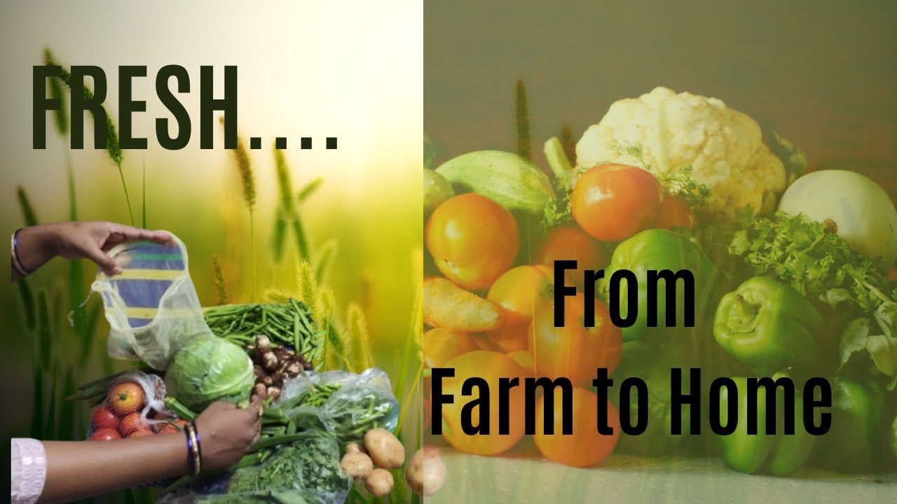 Fresh Vegetables from Farm To Home. - YouTube